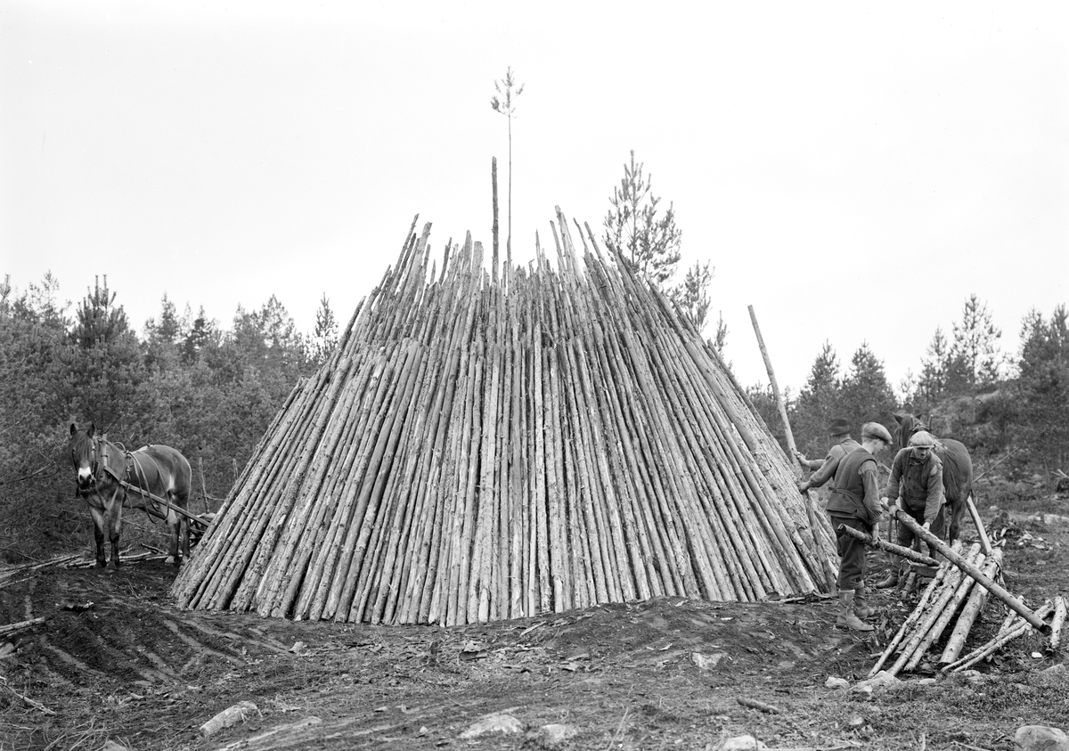 Kolmila i Svinhult - Östergötlands museum / DigitaltMuseum