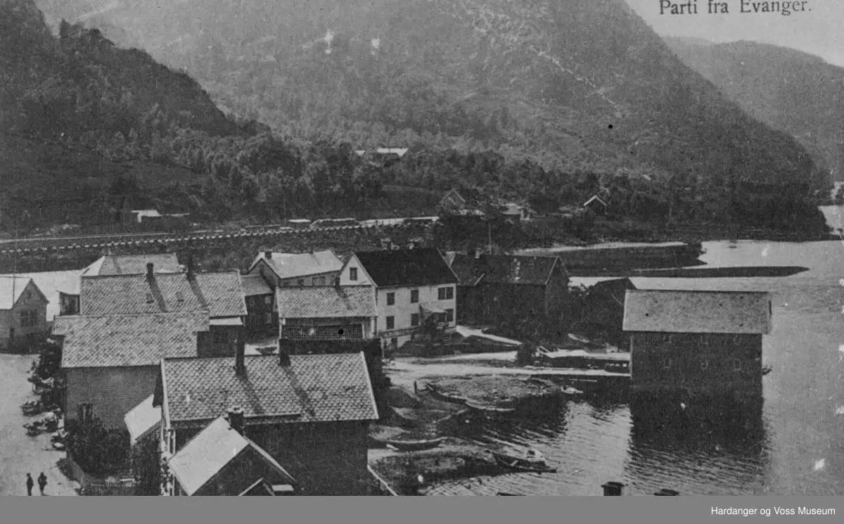 Parti fra Evanger - Hardanger og Voss Museum / DigitaltMuseum
