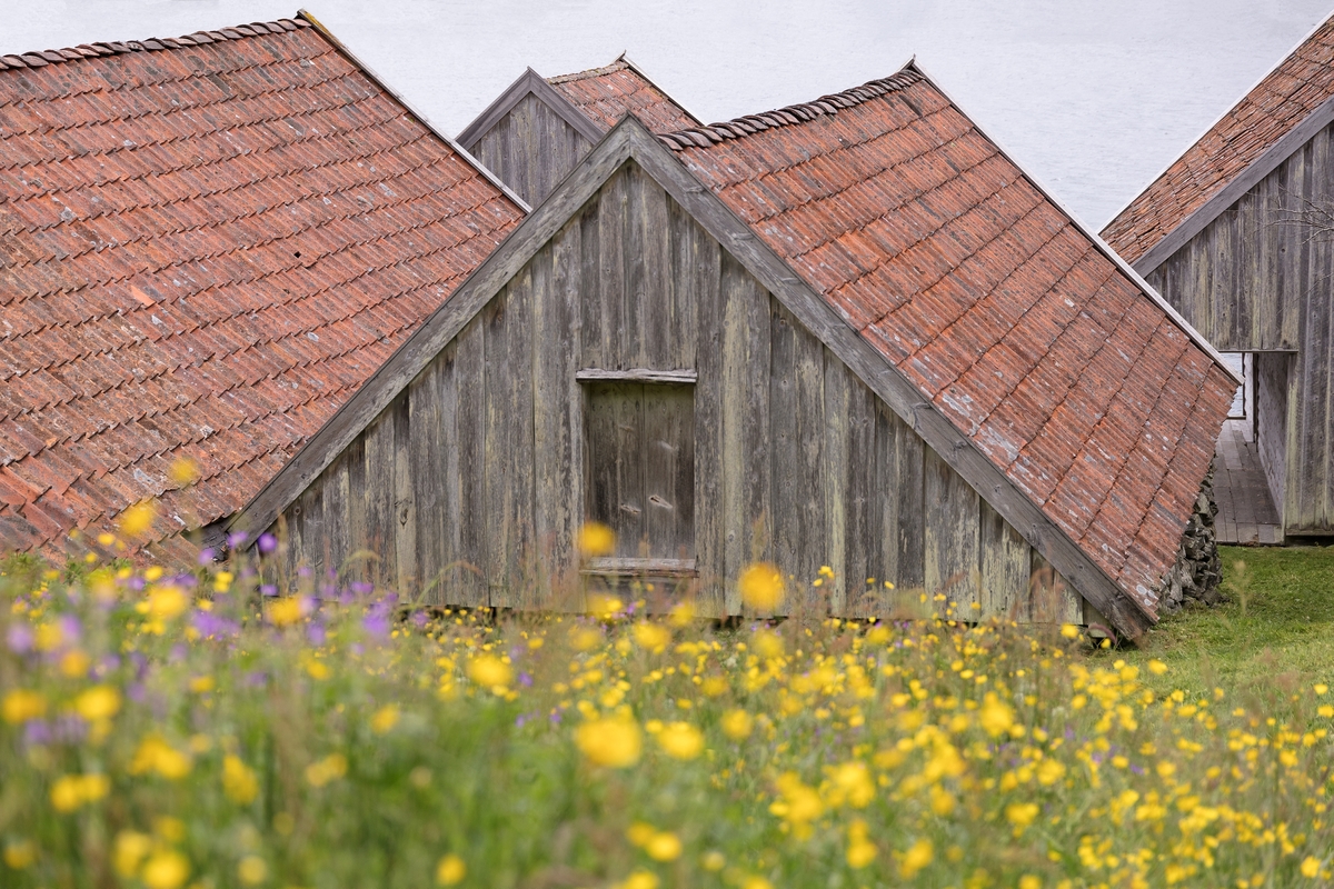 Naust - Haugalandmuseet / DigitaltMuseum